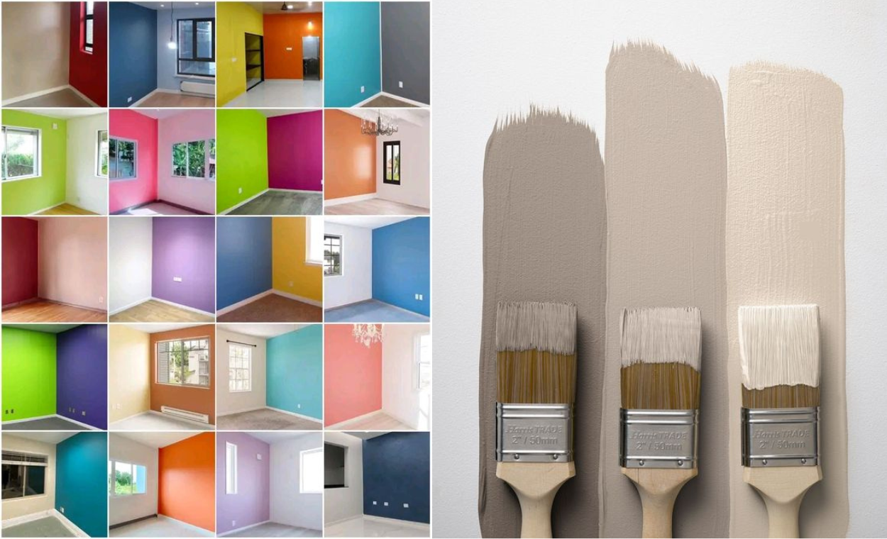 Top Paint Colours That Interior Designers Use In Their Homes - Ryan ...